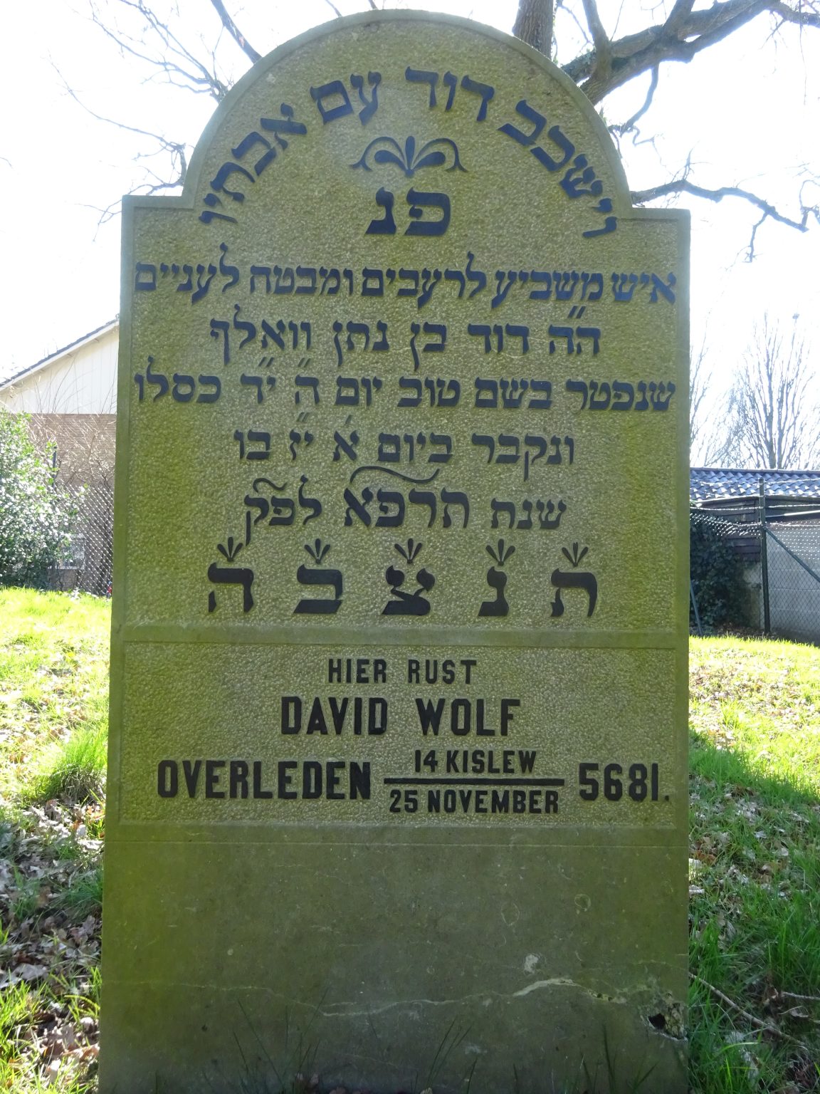 David Wolf | Erfgoed lochem